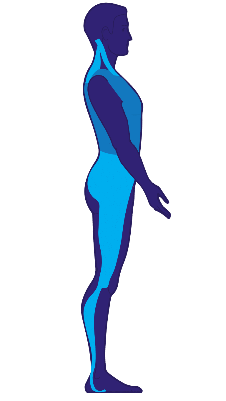 Lateral Line - PureStretch | Stretching & Flexibility Training