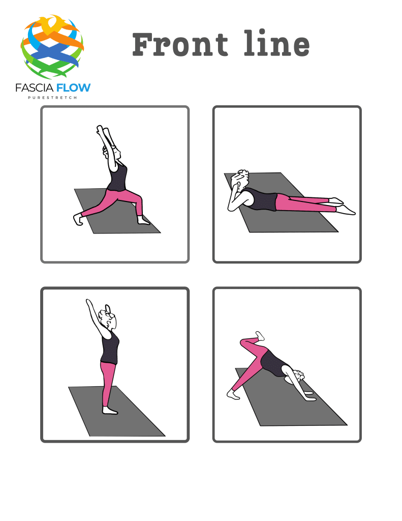 Superficial Front line - PureStretch | Stretching & Flexibility Training