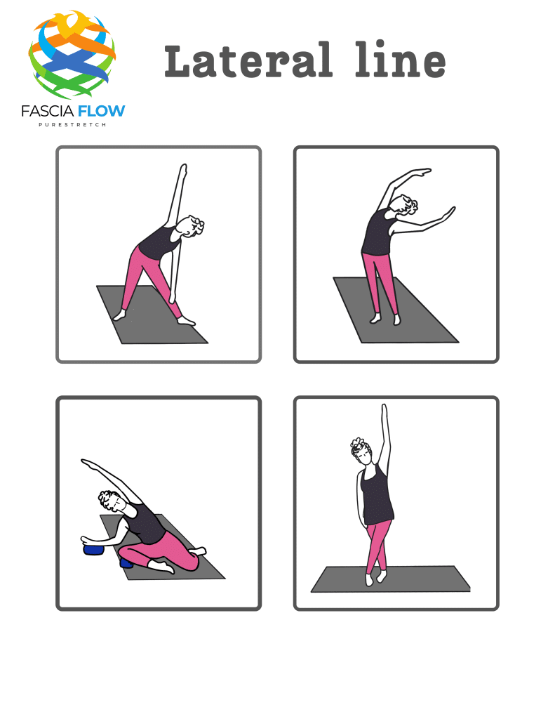 Lateral Line - PureStretch | Stretching & Flexibility Training